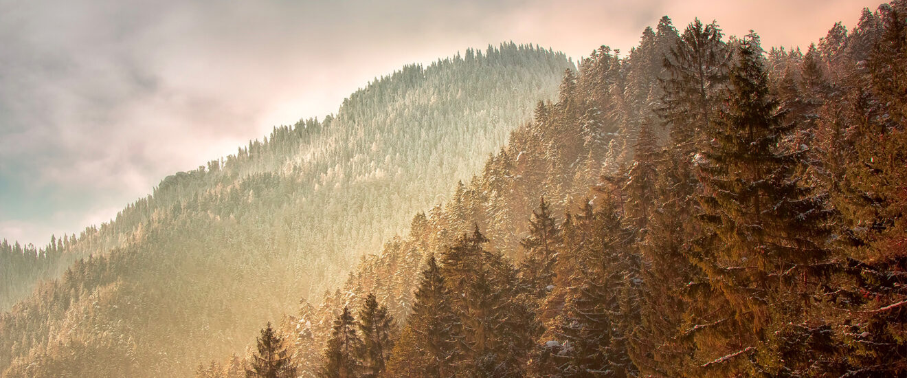 AQUILA | Platform for Independent Swiss Asset Managers